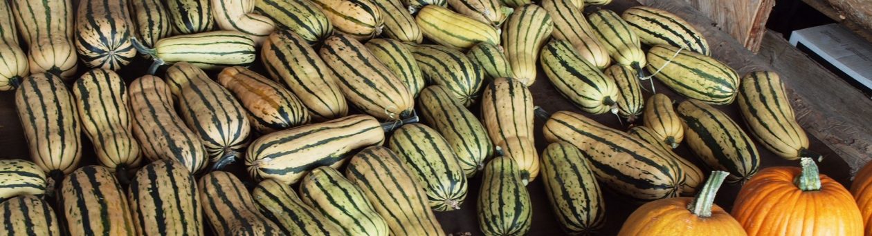 Modoc’s Local Food Scene: What’s Up? – Welcome to Modoc Harvest