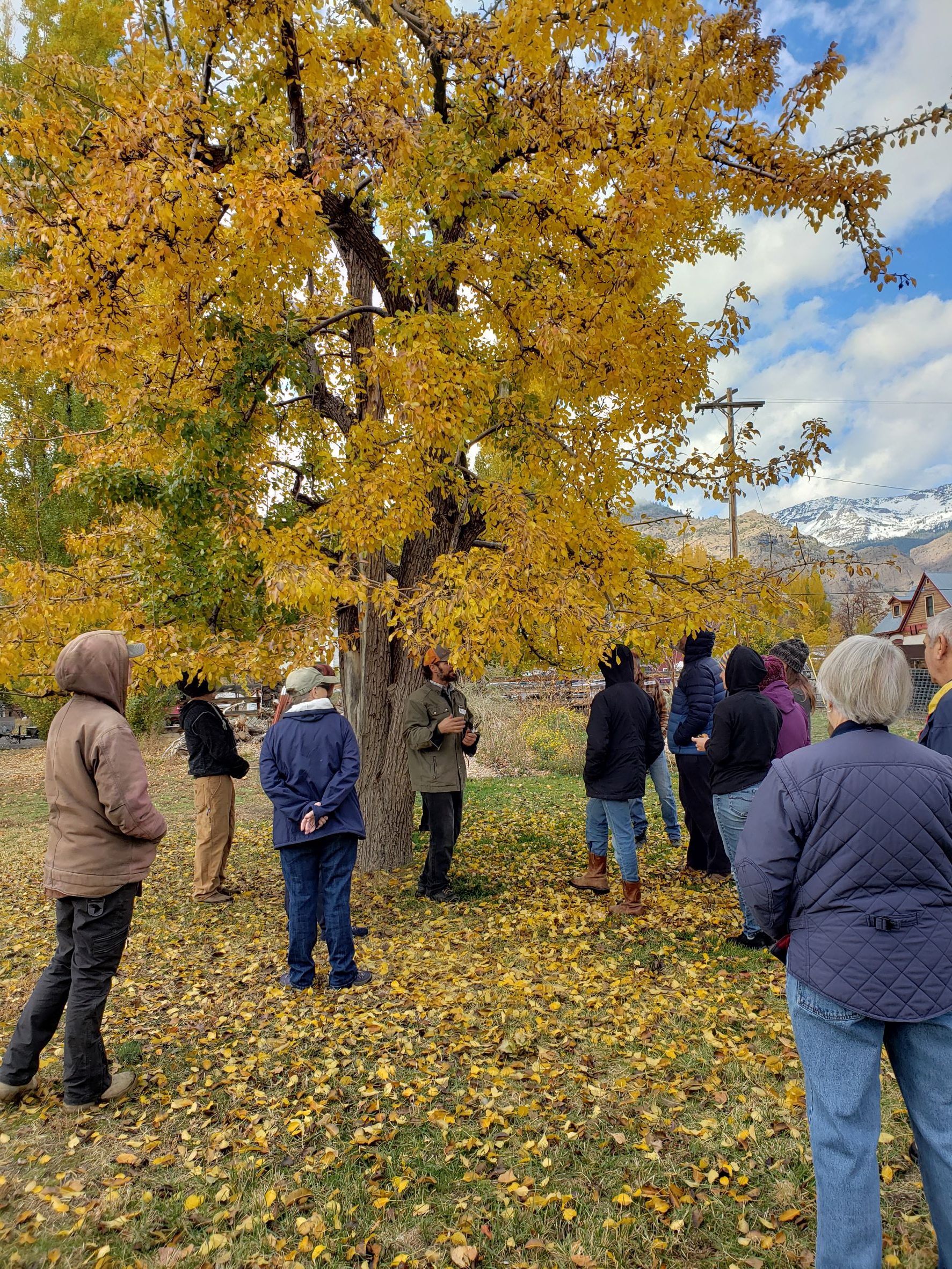 The Heritage Fruit Project