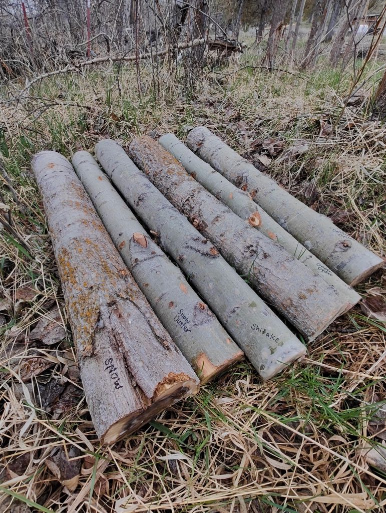 Modoc Harvest – Local Food & Food Education